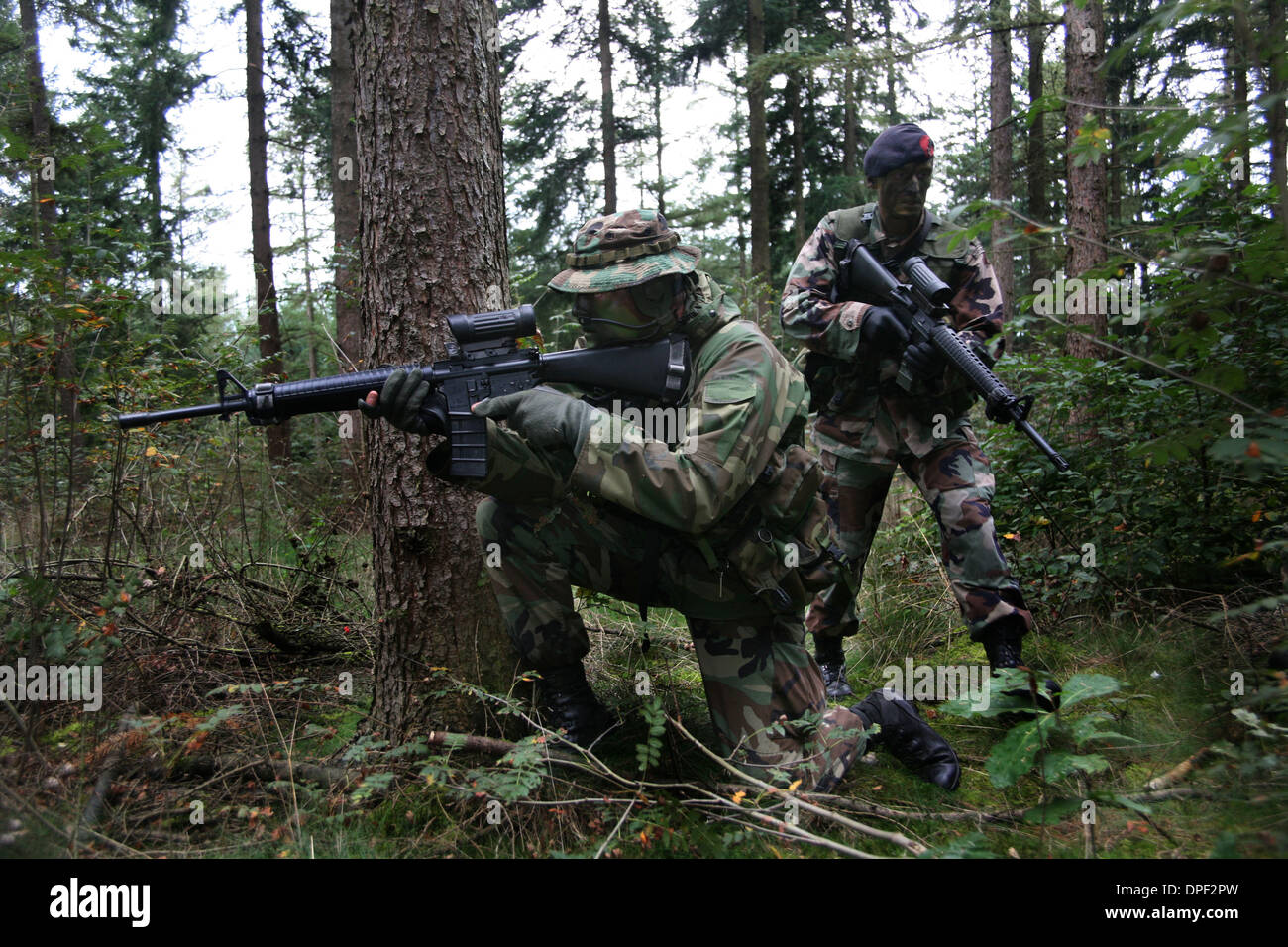 Dutch army is performing a drill in Holland Stock Photo - Alamy
