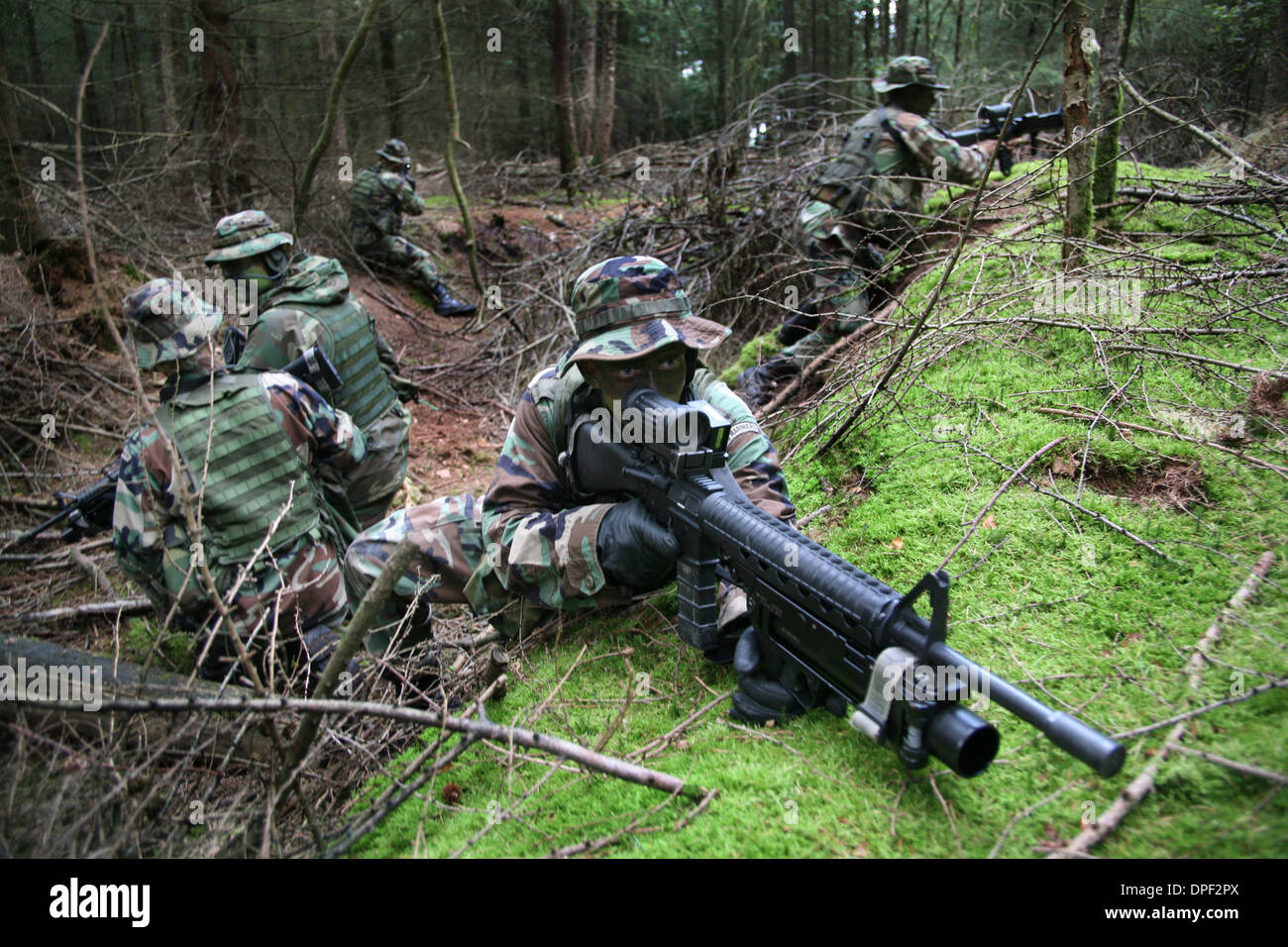Dutch army is performing a drill in Holland Stock Photo - Alamy