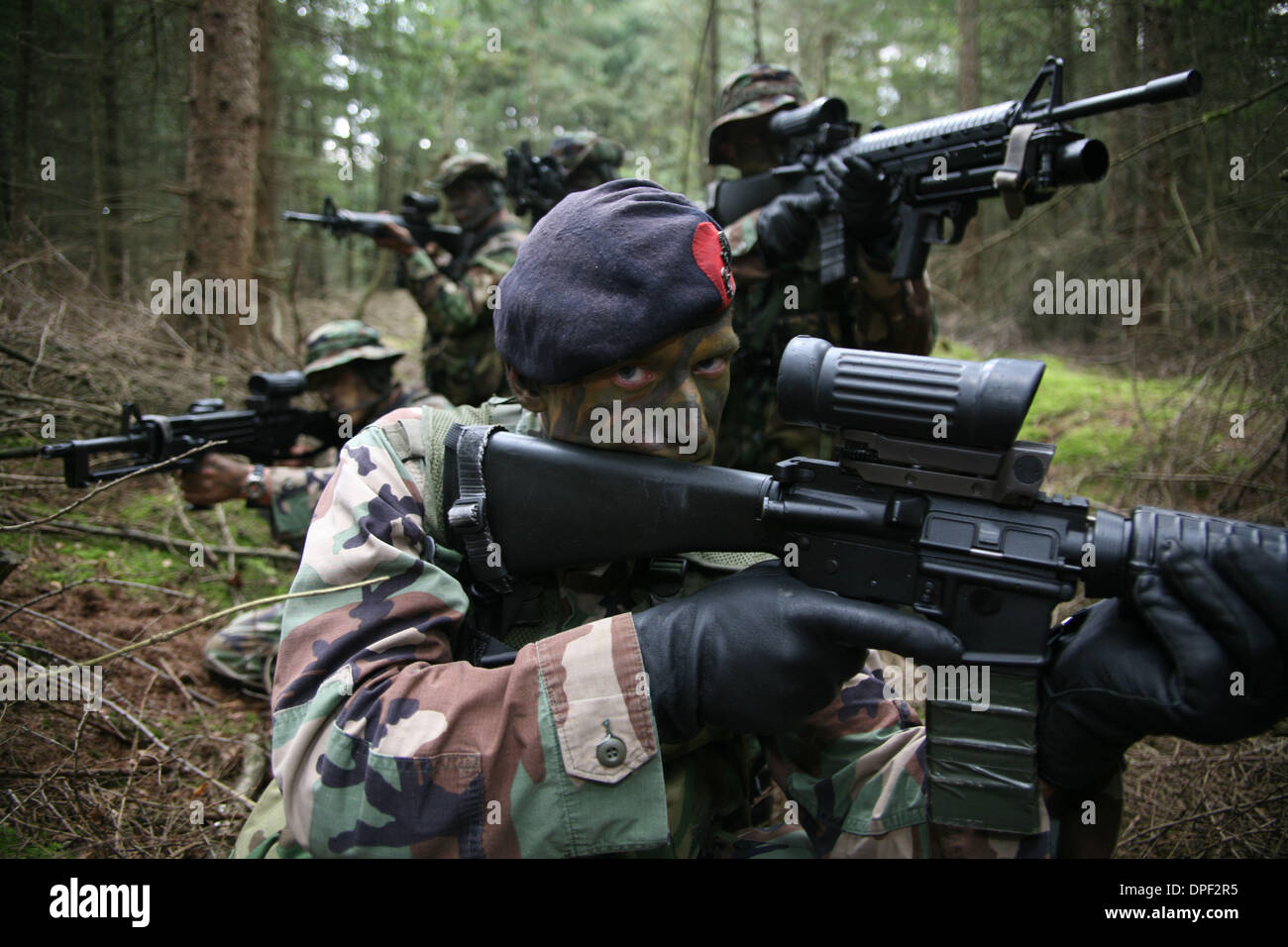 Dutch army is performing a drill in Holland Stock Photo - Alamy
