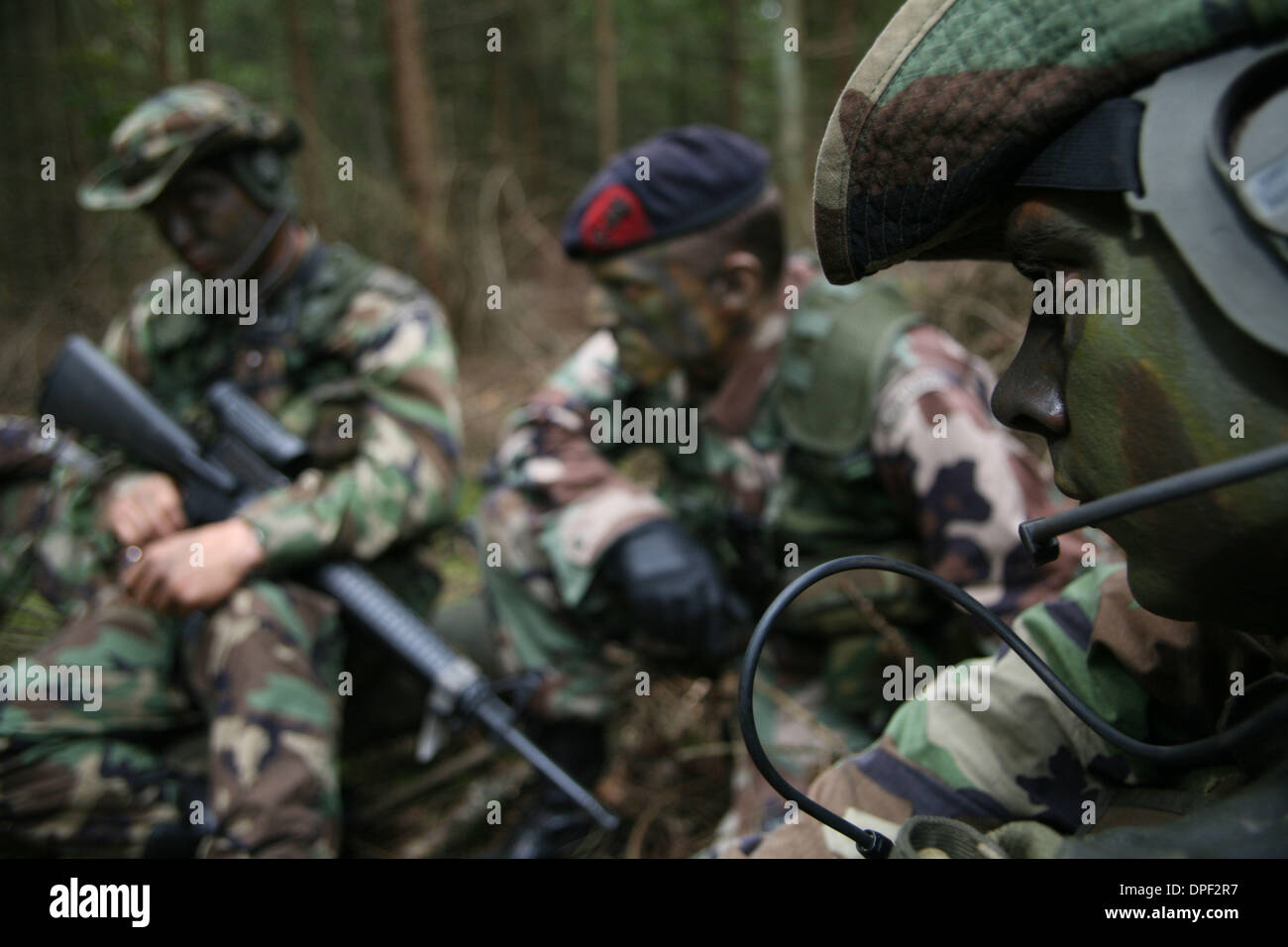 Dutch army is performing a drill in Holland Stock Photo - Alamy
