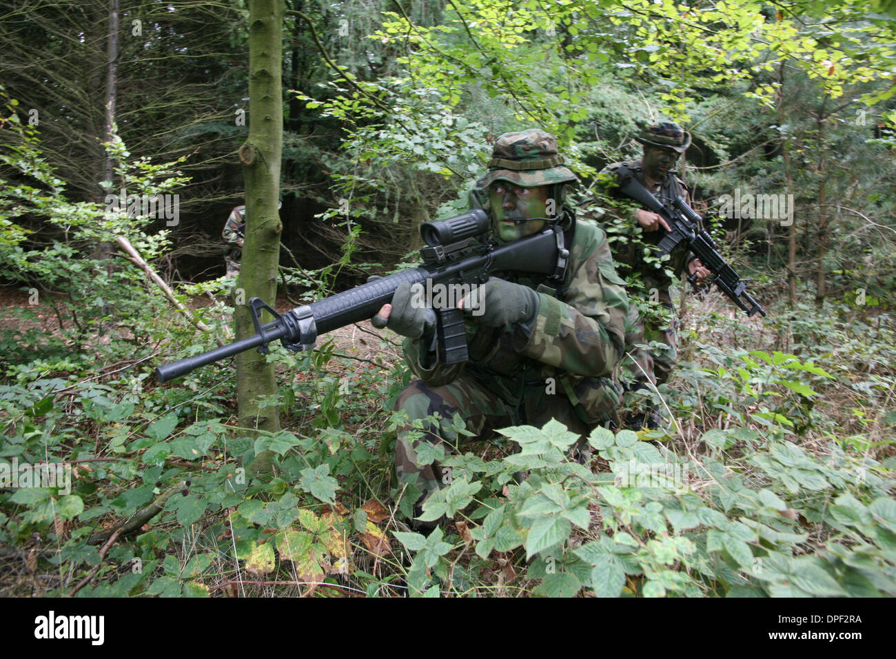 Dutch army is performing a drill in Holland Stock Photo - Alamy