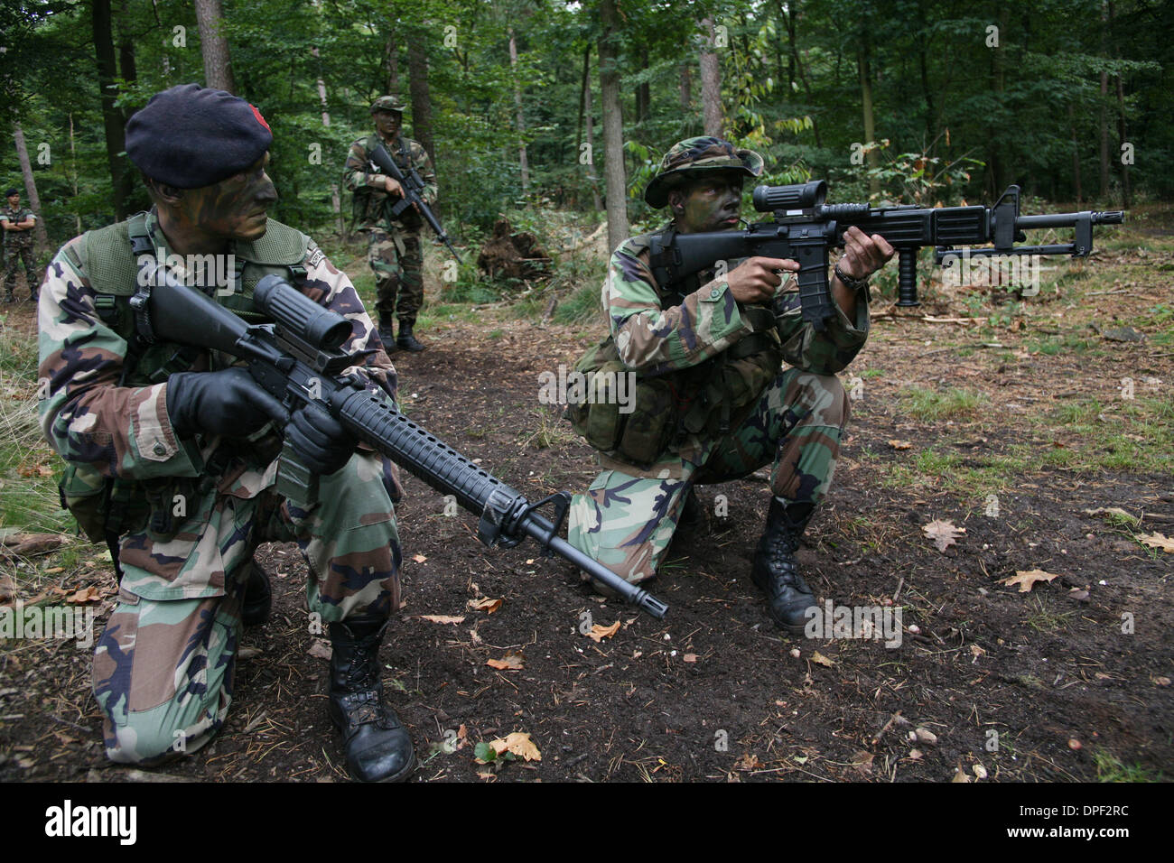 Dutch army is performing a drill in Holland Stock Photo - Alamy