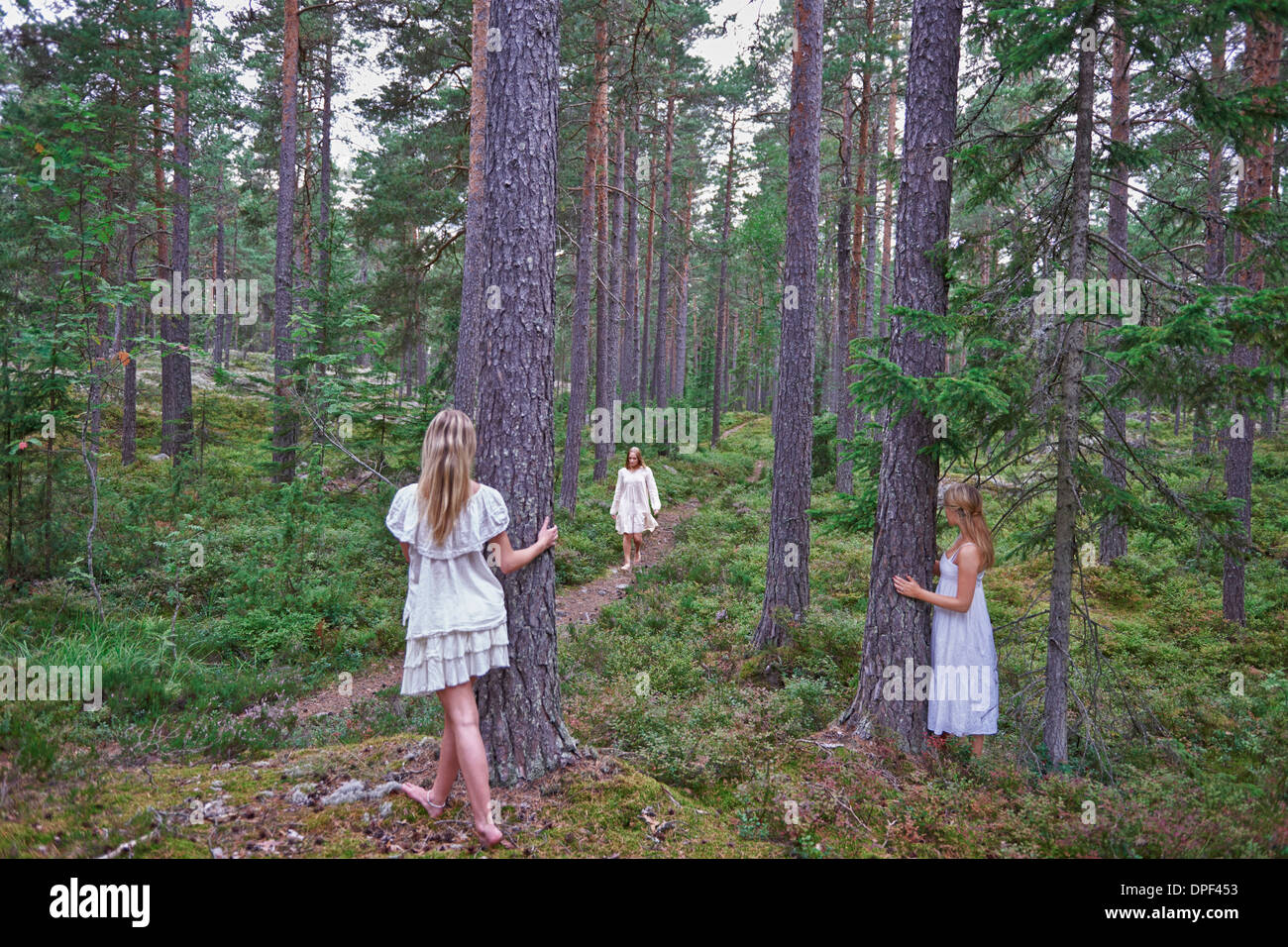 Teenage girls by tree trunks in forest Stock Photo - Alamy