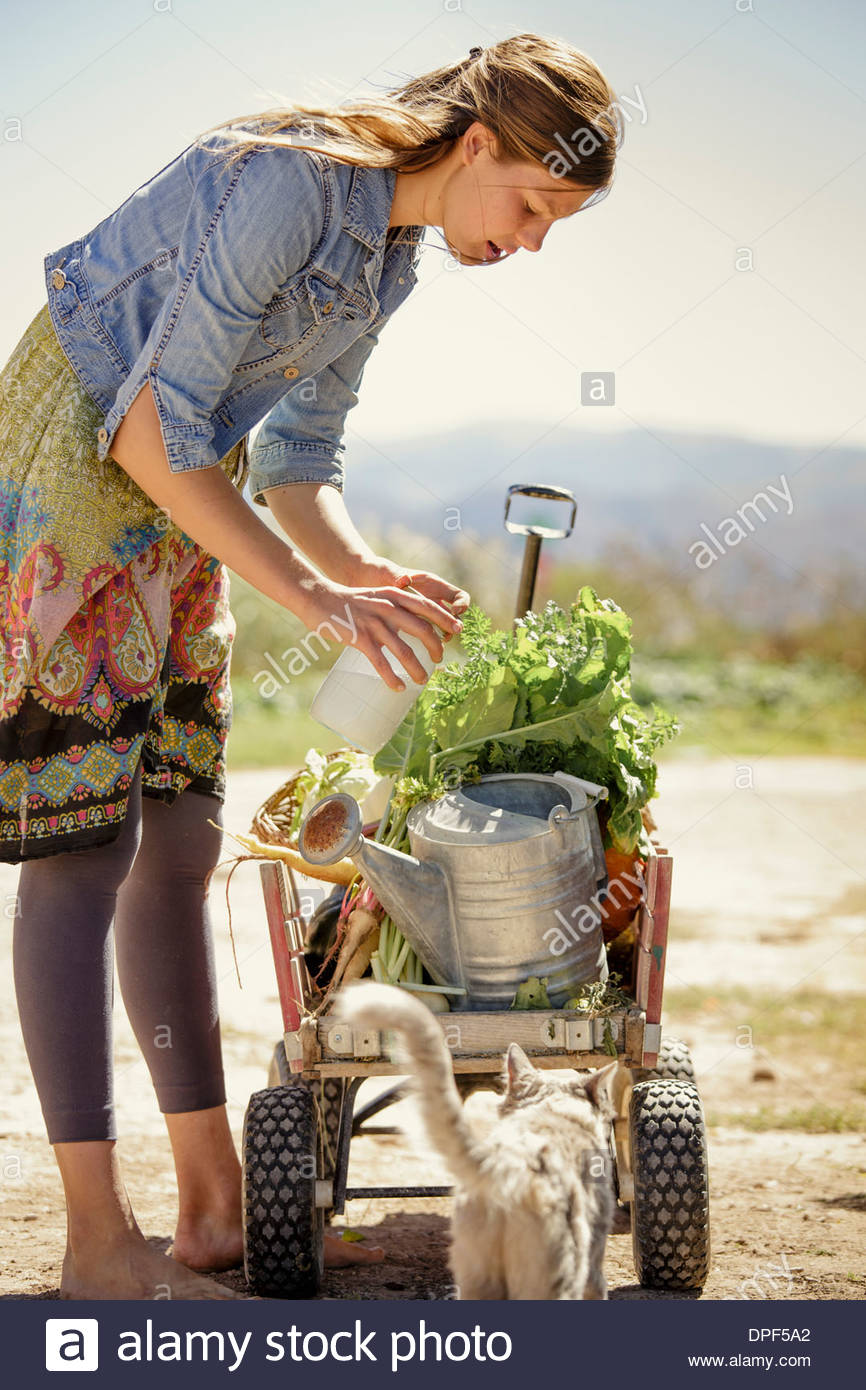 Farm Cart Stock Photos & Farm Cart Stock Images - Alamy