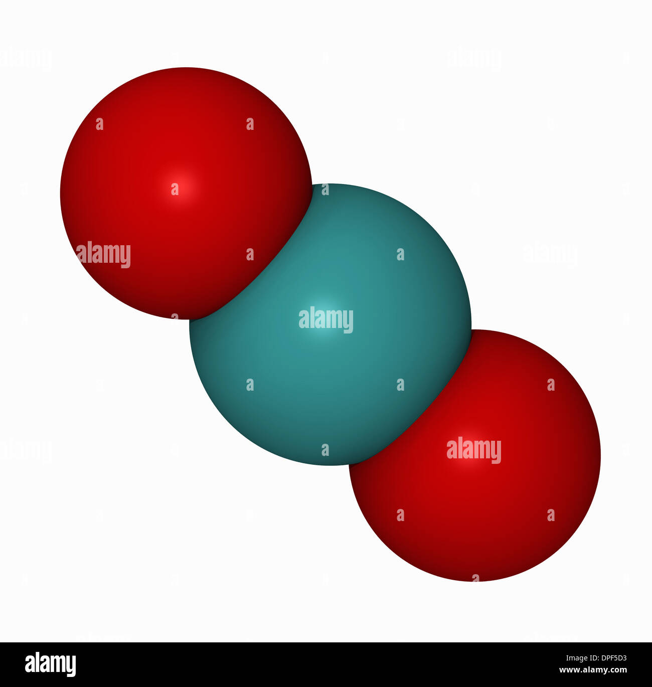 Carbon Dioxide Space Filling Model