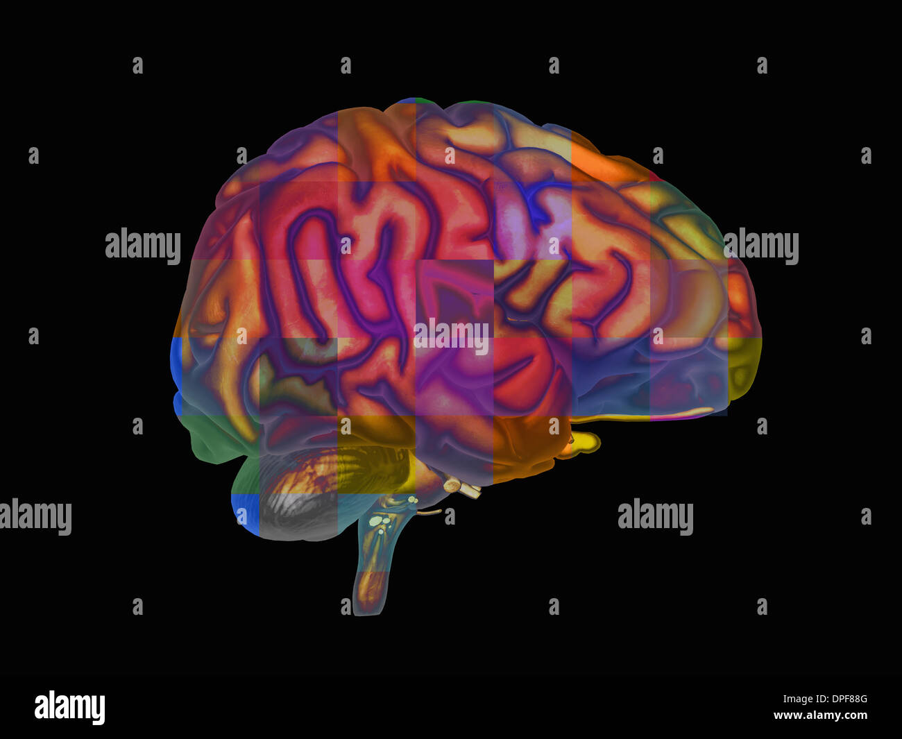 illustration of the human brain as a grid Stock Photo - Alamy
