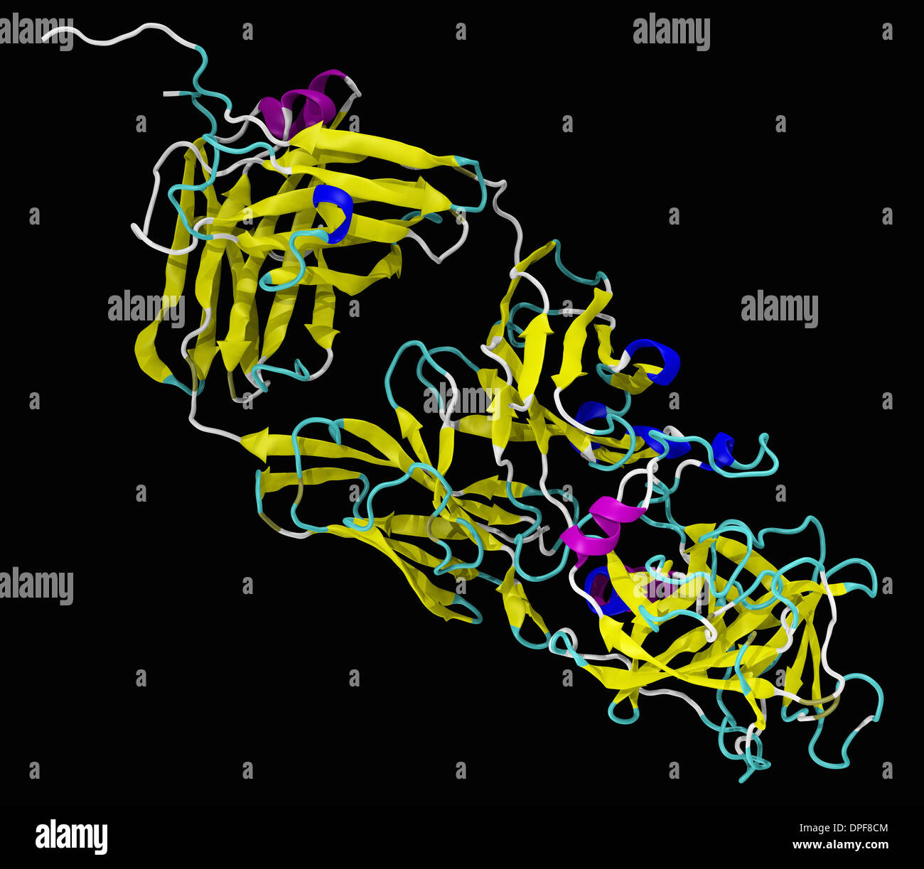 Prostate structure hi-res stock photography and images - Alamy