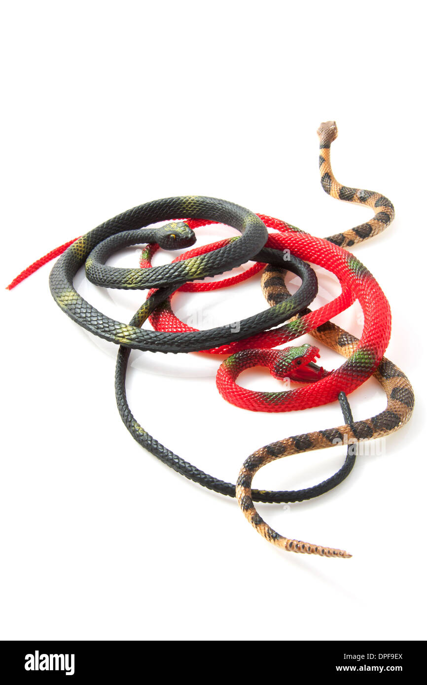 Dangerous three snakes Cut Out Stock Images & Pictures - Alamy