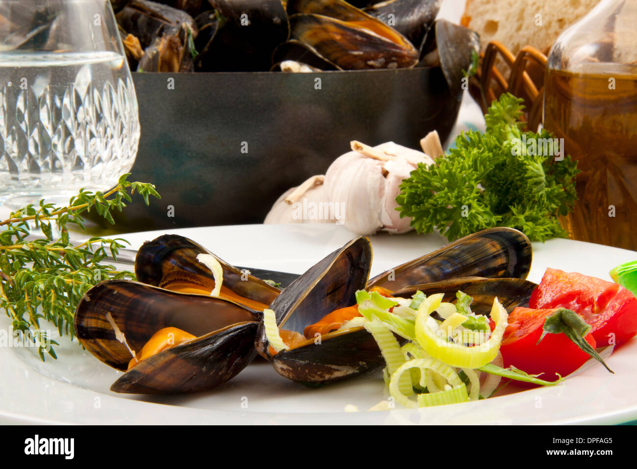 Table with fresh dutch mussels on a plate Stock Photo - Alamy