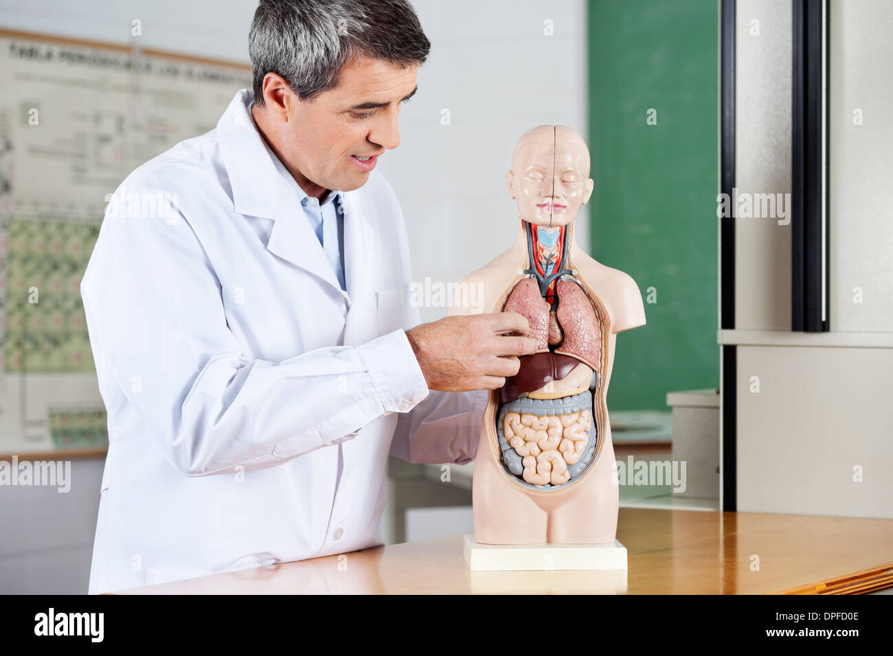 Scientific study examining anatomical hi-res stock photography and ...