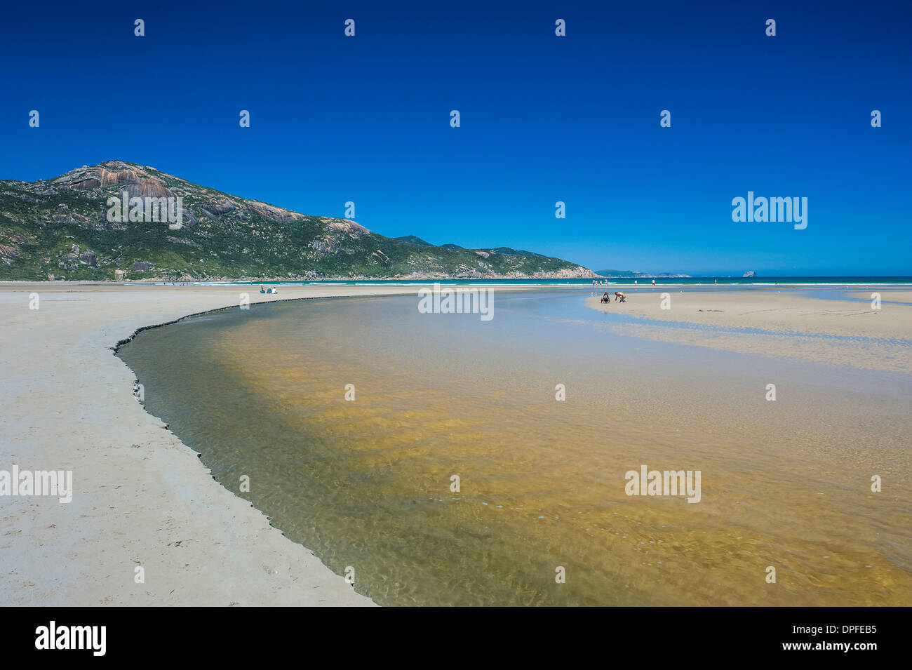 Tidal river flows into the ocean, Wilsons Promontory National Park ...