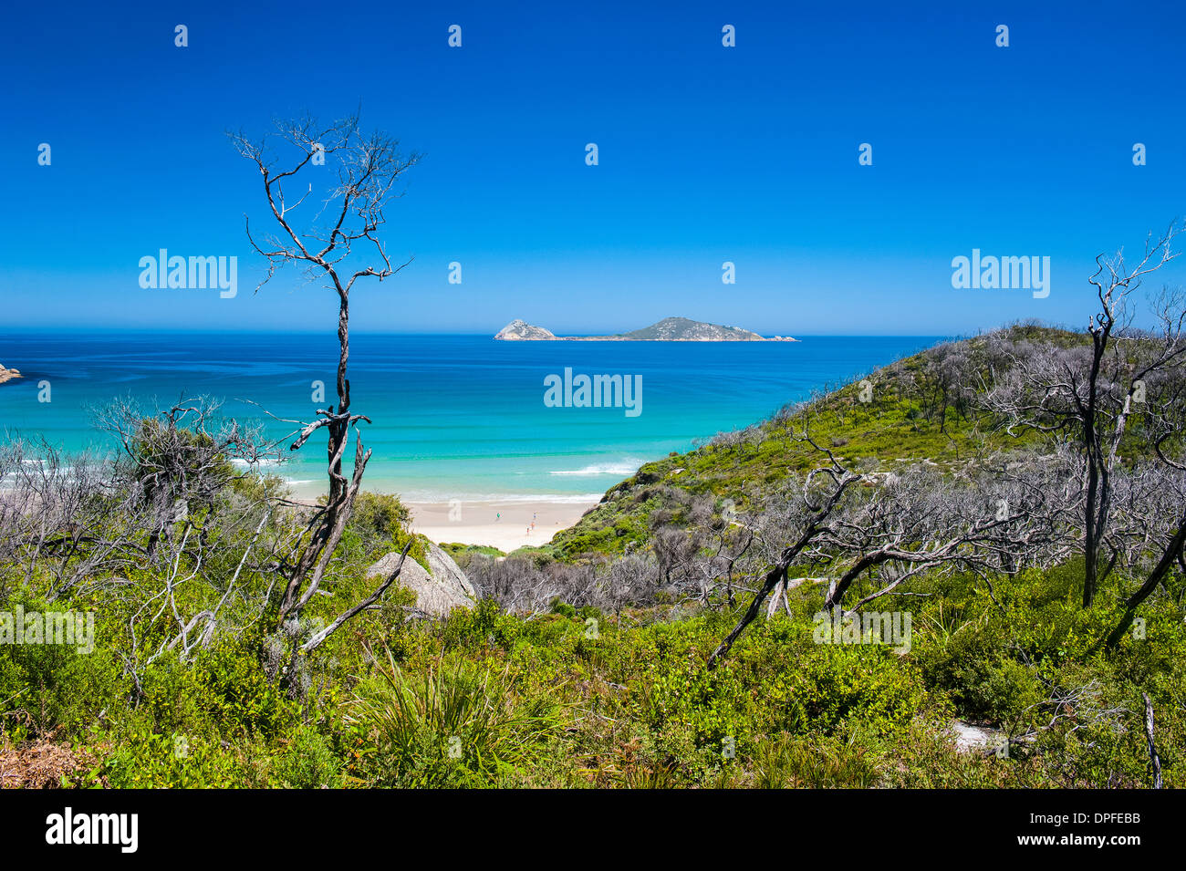 Wilson's promontory national park hi-res stock photography and images ...