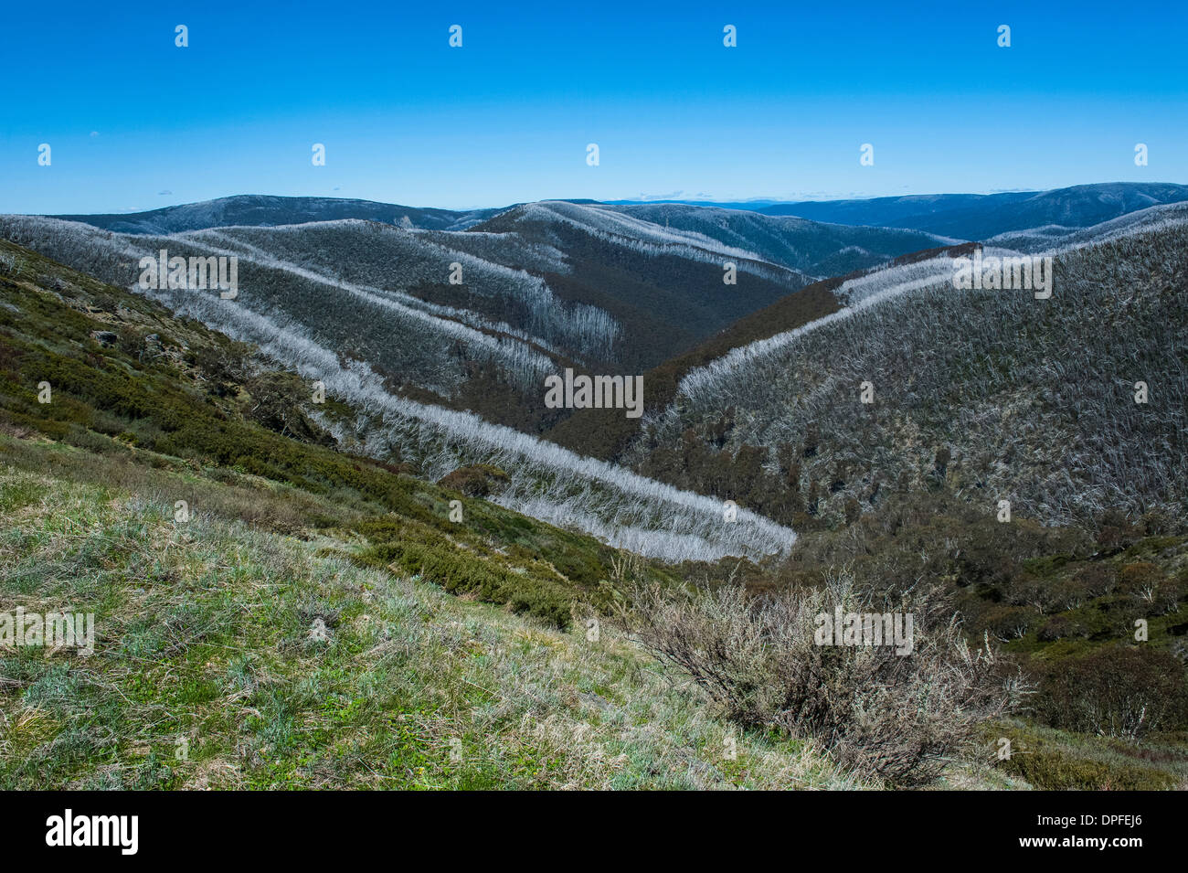 Victorian alps hi-res stock photography and images - Alamy
