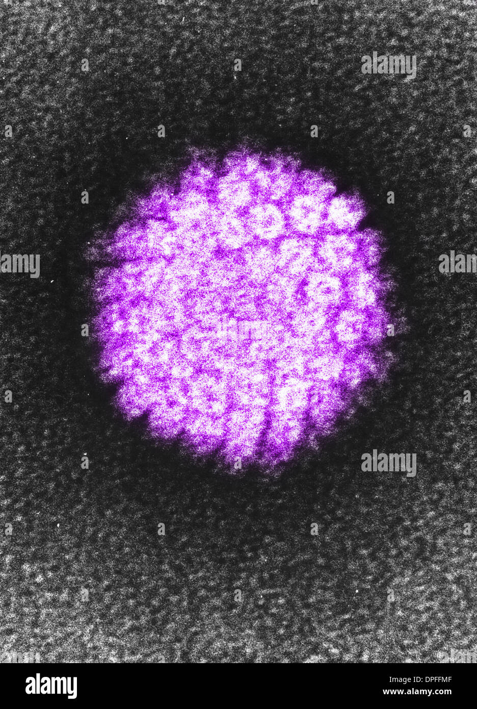 Transmission electron micrographs hi-res stock photography and images ...