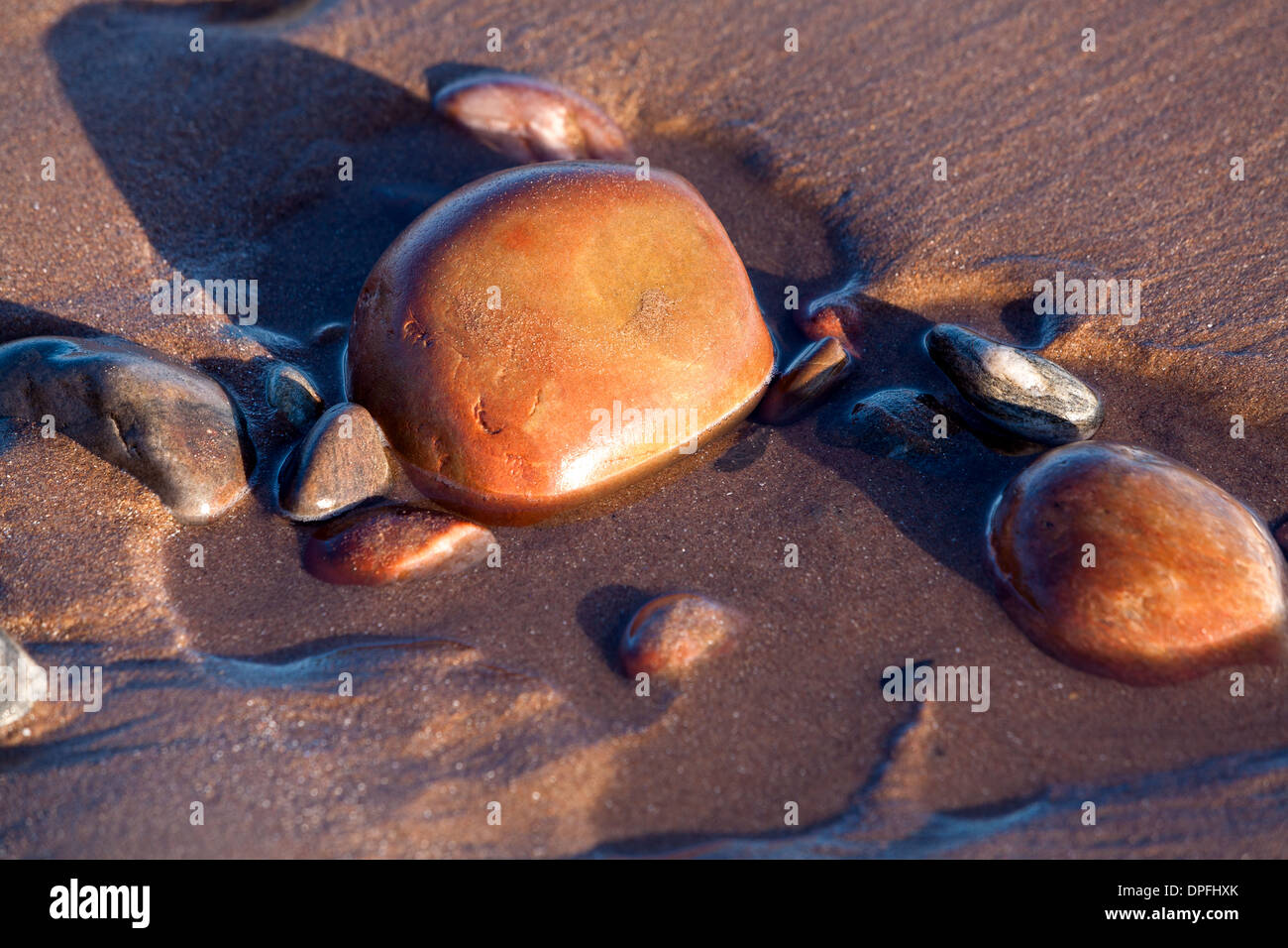 Rocks and pools on beach. Seashore at Montrose Scotland UK Stock Photo ...