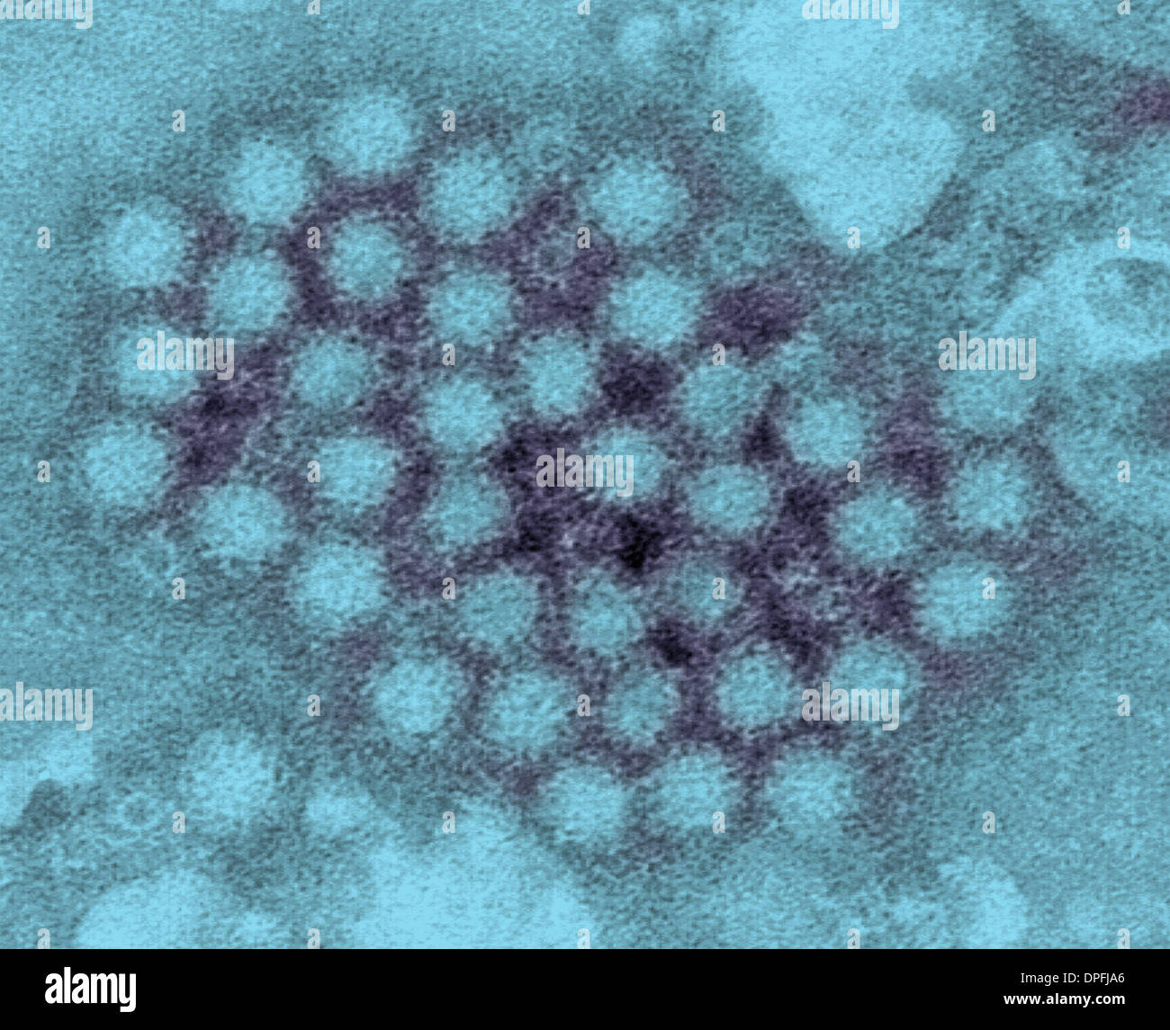 Virions hi-res stock photography and images - Alamy