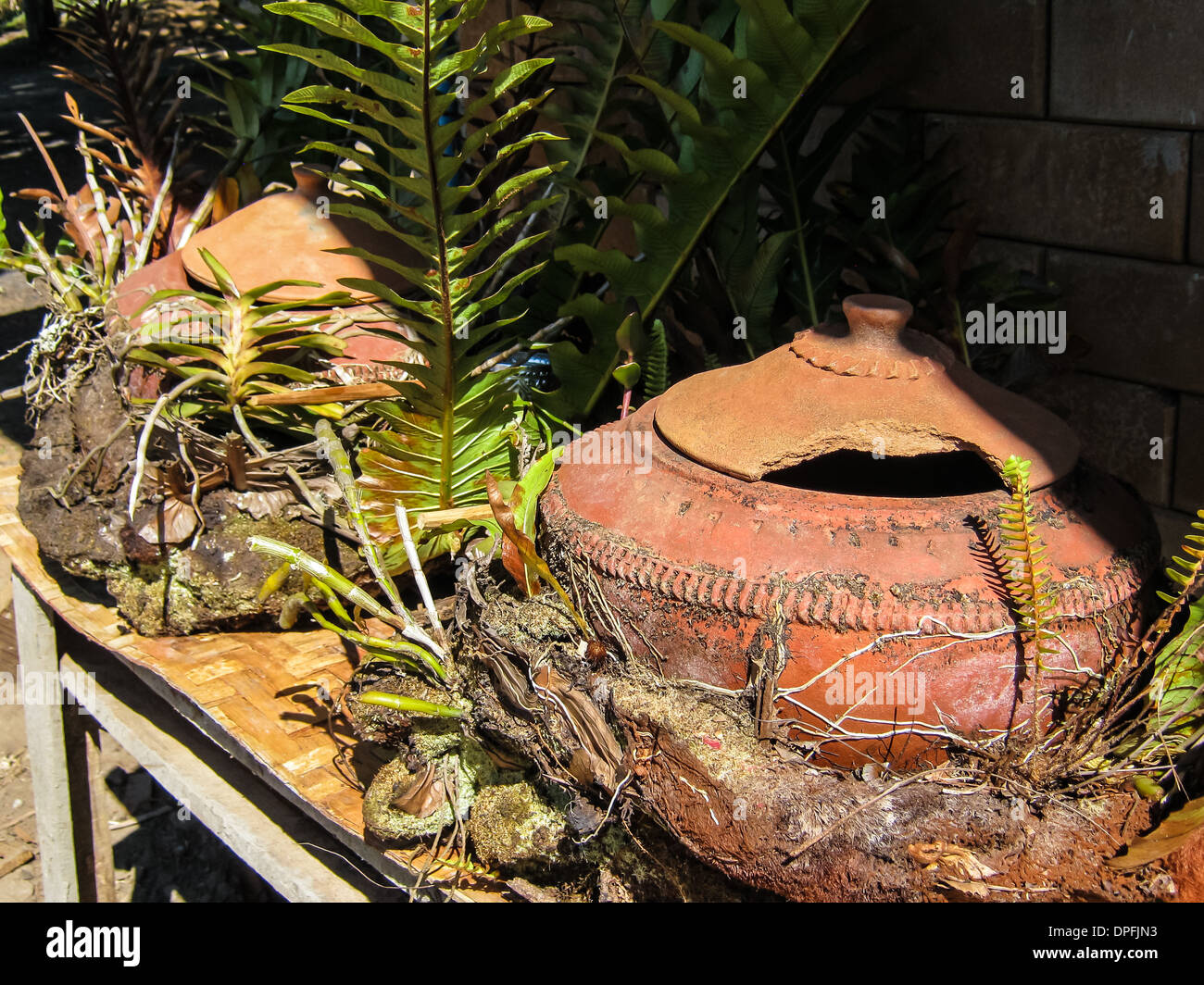 Drinking water pot hi-res stock photography and images - Alamy