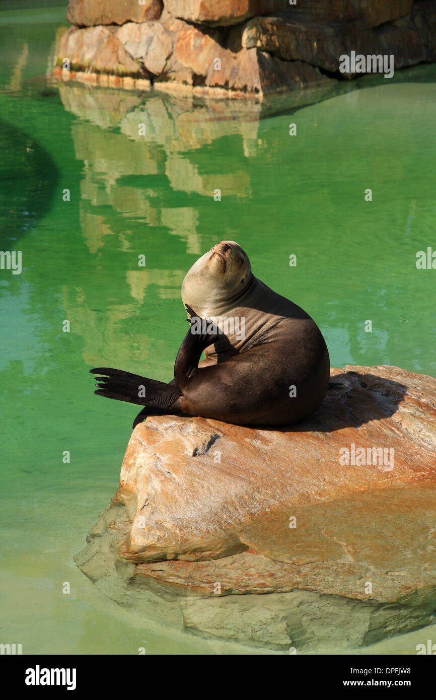 German zoo hi-res stock photography and images - Alamy