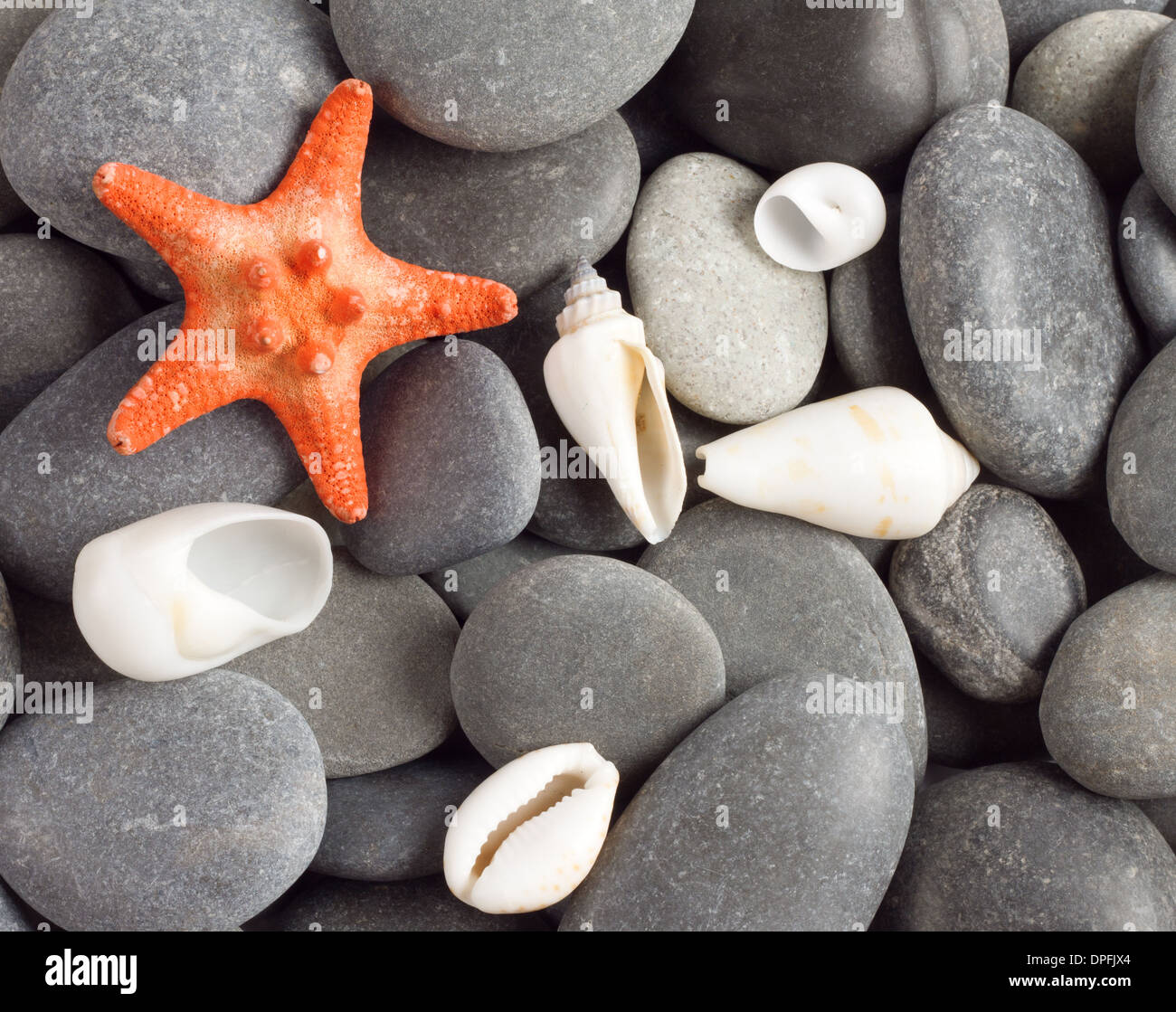 Orange five-pointed starfish on the sea rocks Stock Photo - Alamy