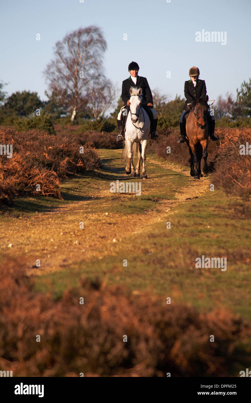 Horseride uk countryside hi-res stock photography and images - Alamy