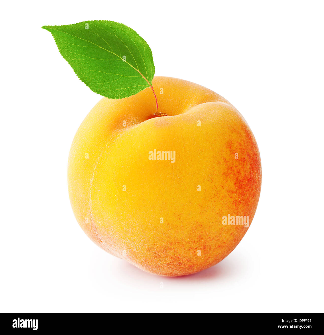 Peach leaf on white hi-res stock photography and images - Alamy