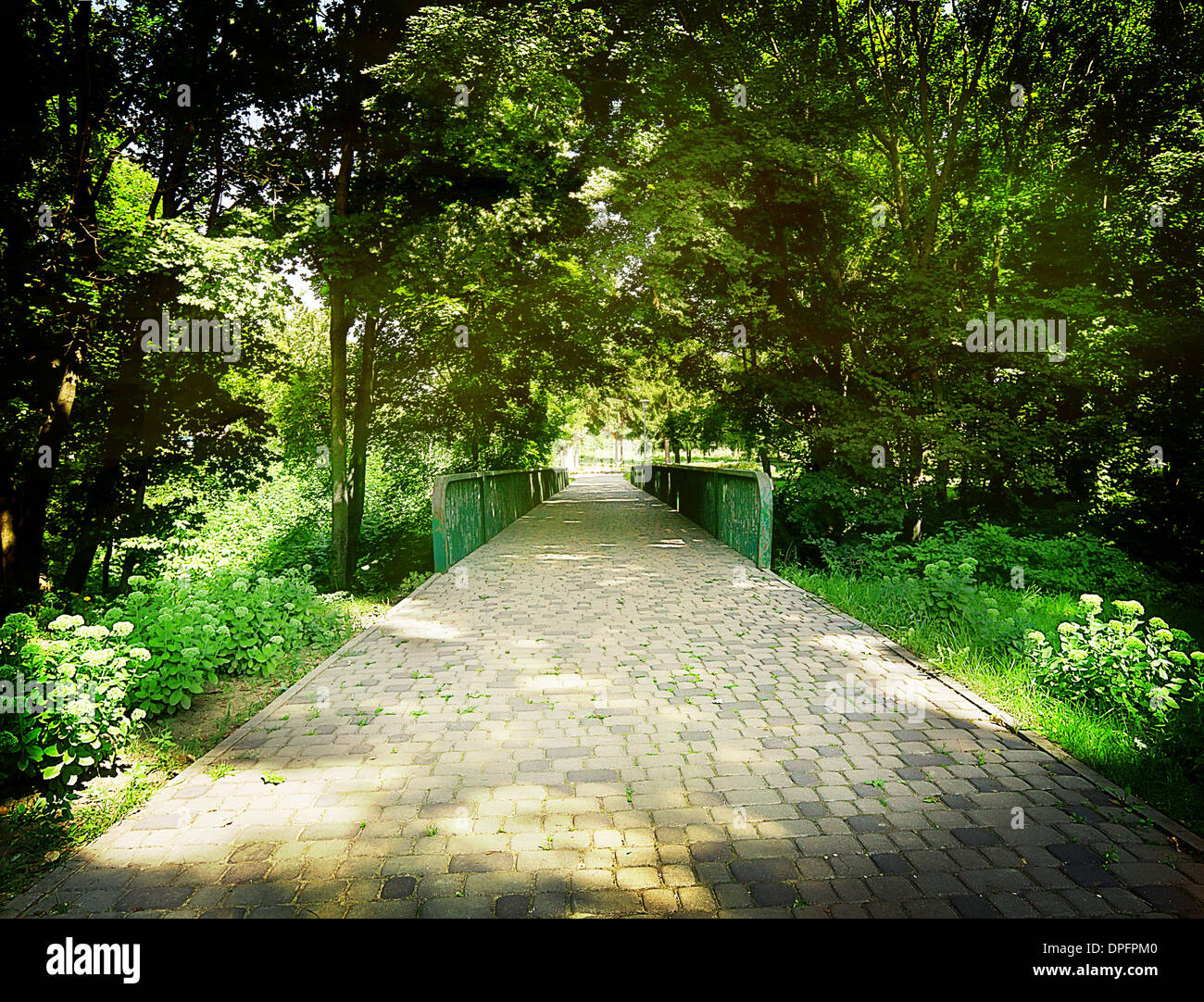 Road paved with rocks and bridge in the park Stock Photo - Alamy