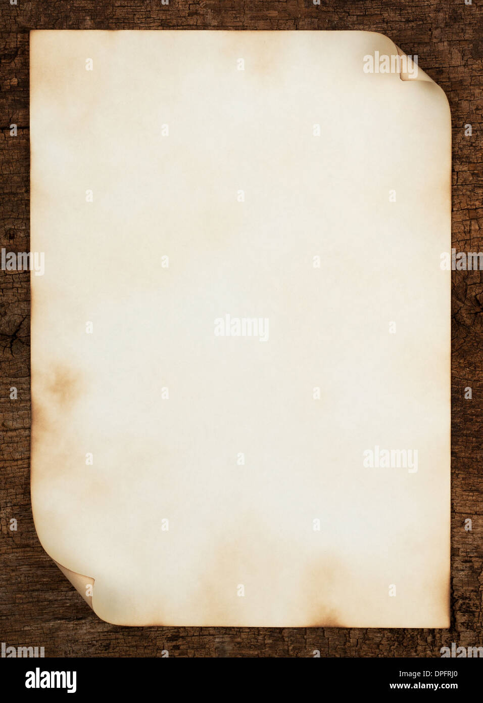 Sheet of old paper with curled edges on the wooden background Stock ...