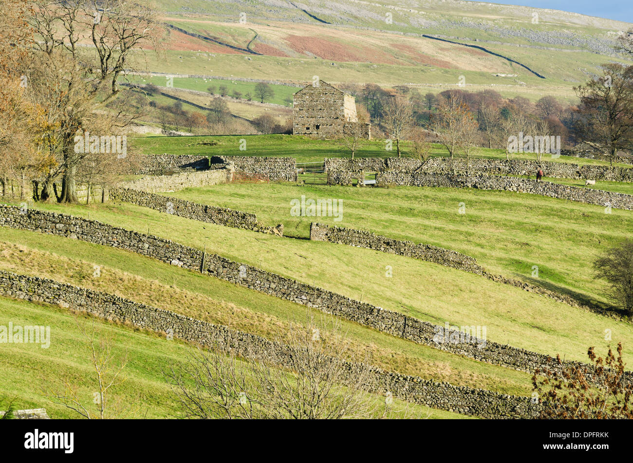 Drystone wall field patterns in Wensleydale Stock Photo - Alamy