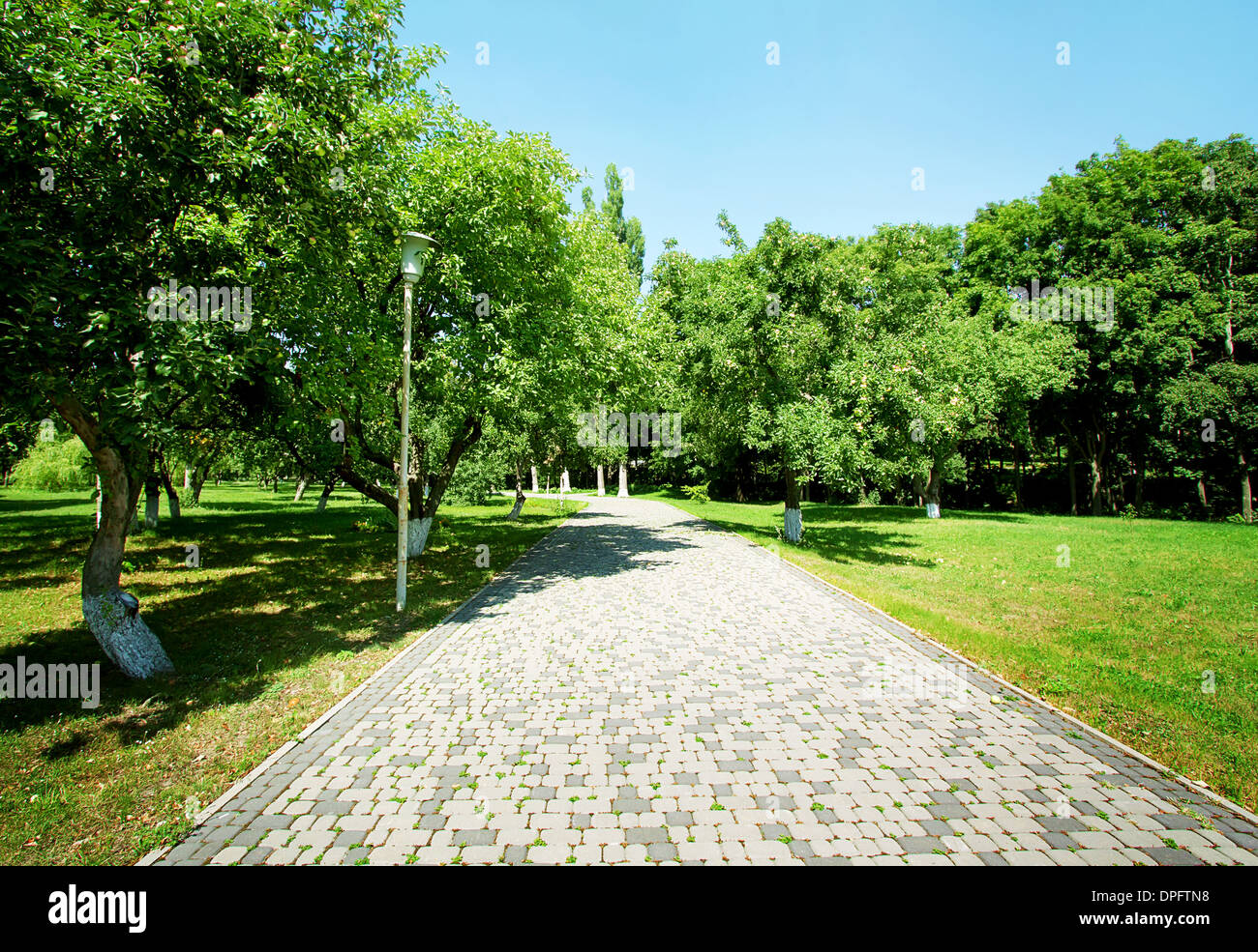 Wild apple tree road hi-res stock photography and images - Alamy