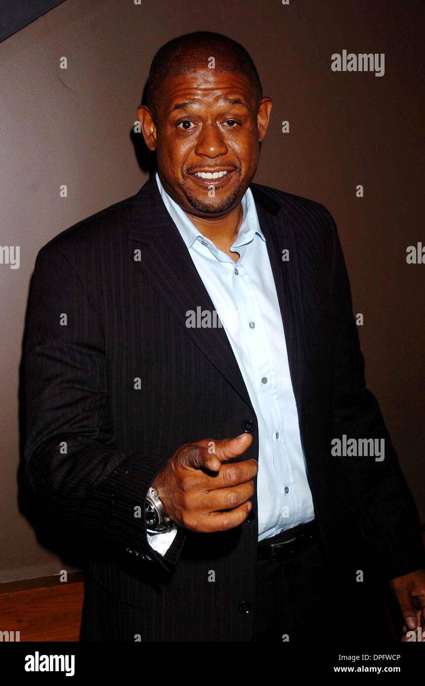 King Fox Photos High Resolution Stock Photography and Images - Alamy