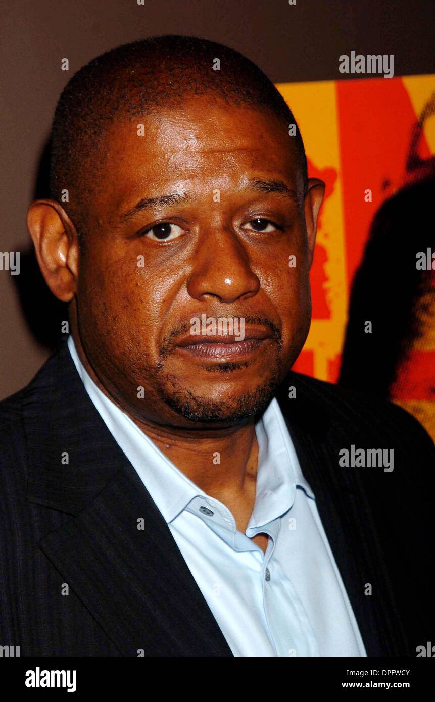 King Fox Photos High Resolution Stock Photography and Images - Alamy