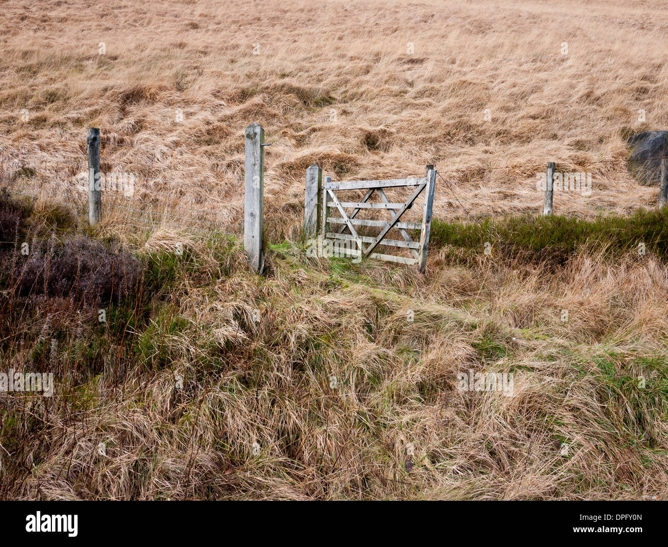 Gate left open on moorland hillside,UK Stock Photo - Alamy