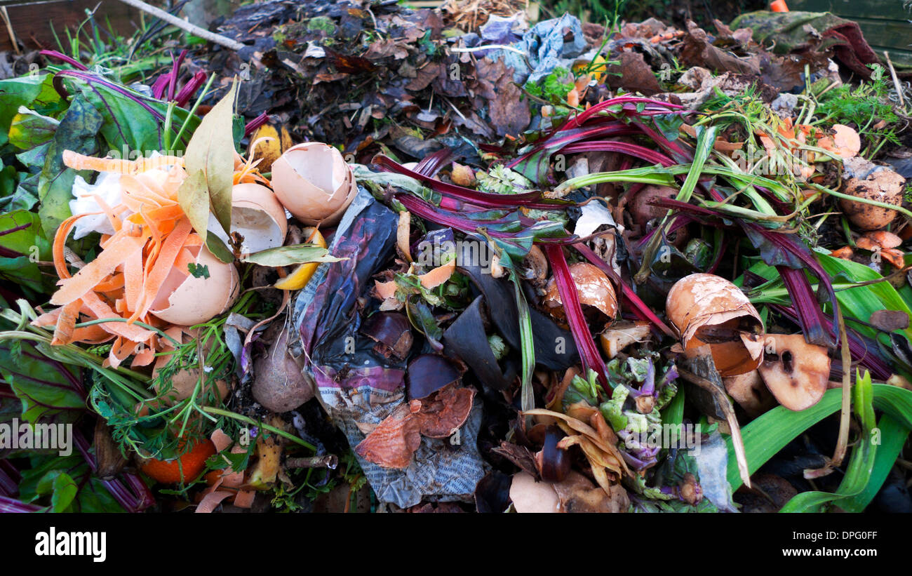 Beautiful colorful rotten vegetable waste being recycled into soil in a ...
