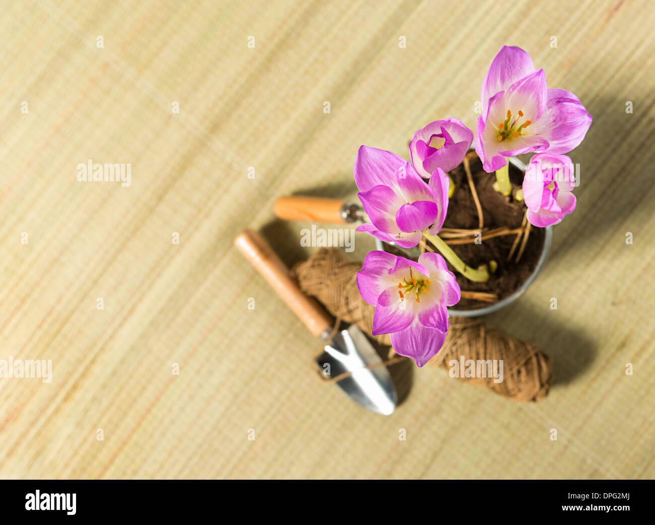 Lawn composition hi-res stock photography and images - Alamy