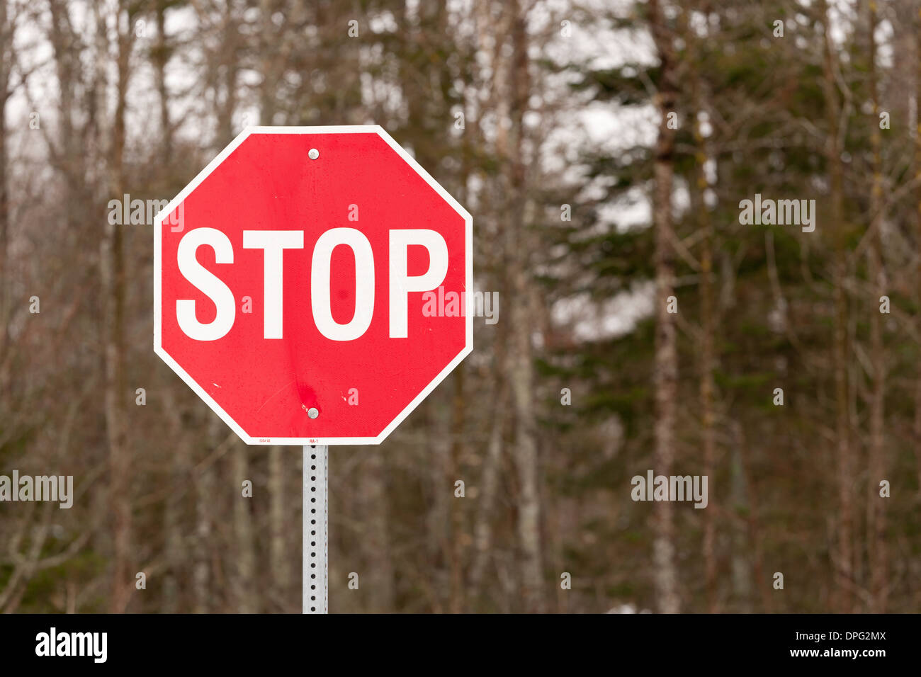 Closeup view of stop sign with trees in background Stock Photo - Alamy