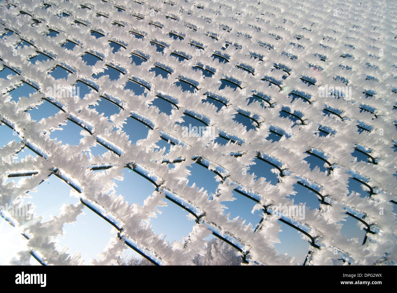 Ice on a chain link fence Stock Photo - Alamy