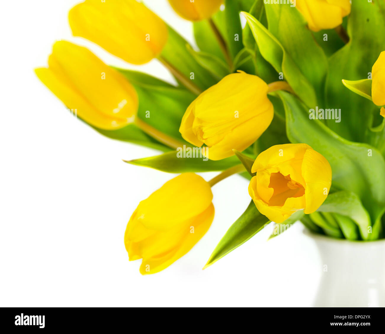 Gorgeous yellow flowers hi-res stock photography and images - Alamy