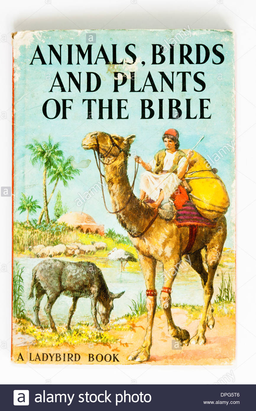 Bible Copy High Resolution Stock Photography and Images - Alamy