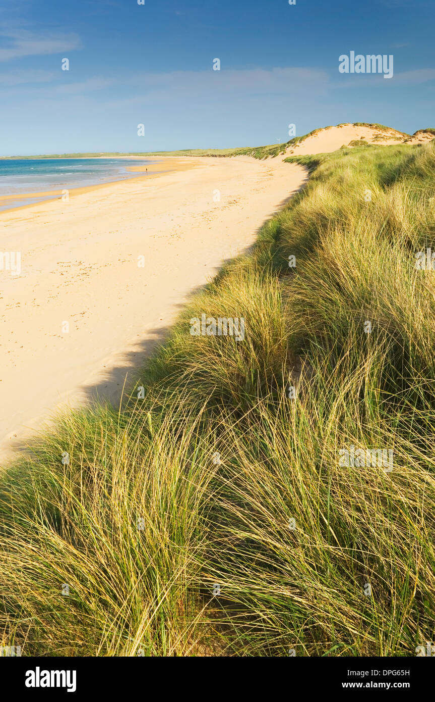 Fraserburgh beach hi-res stock photography and images - Alamy