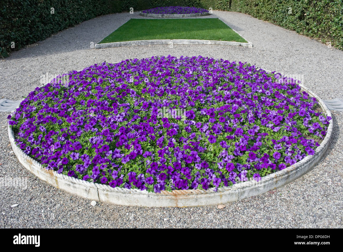 Round flower bed hi-res stock photography and images - Alamy