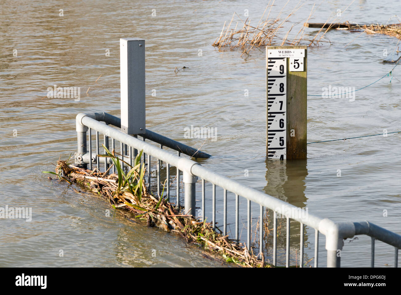 A flood depth marker and flooded fence on the River Great Ouse ...