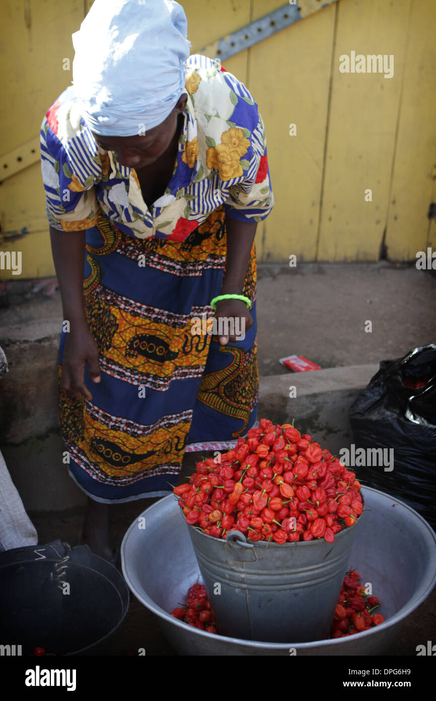 African chilli hi-res stock photography and images - Alamy
