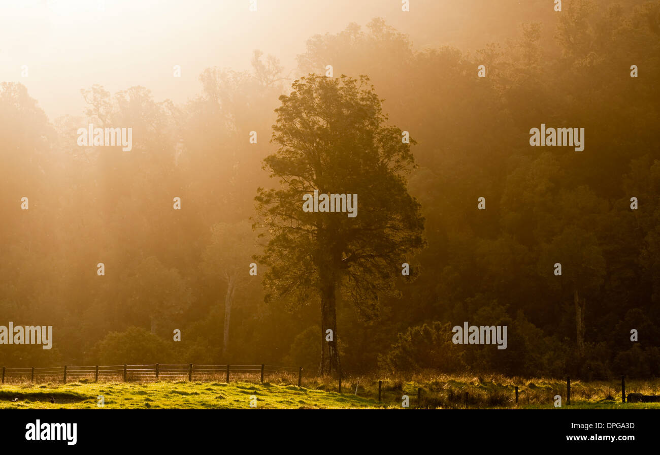 Back light island hi-res stock photography and images - Alamy