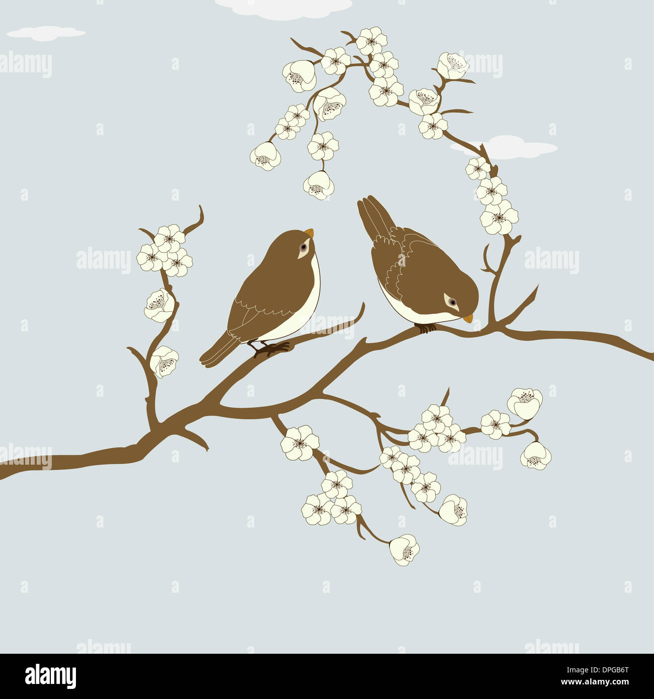 Birds on branch with flowers Stock Photo - Alamy
