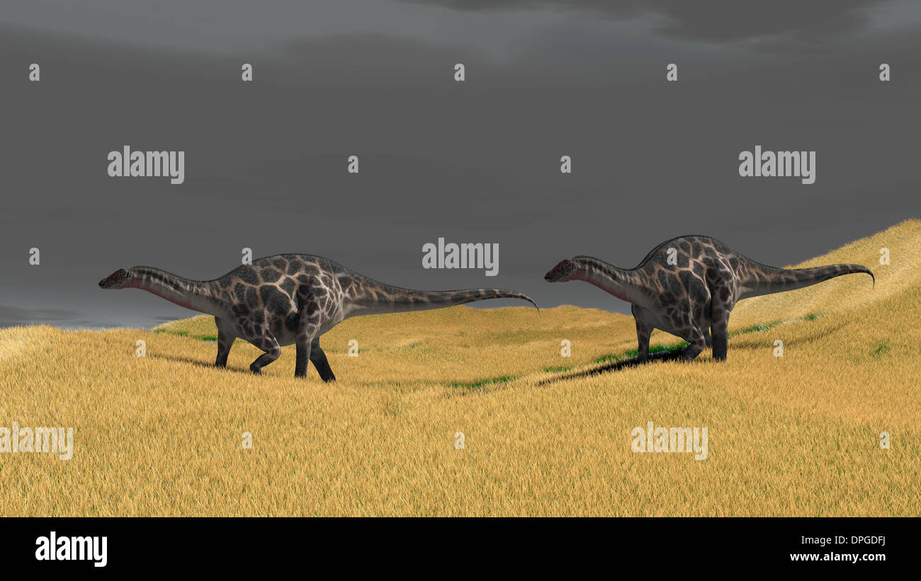 Genus Dicraeosaurus High Resolution Stock Photography and Images - Alamy