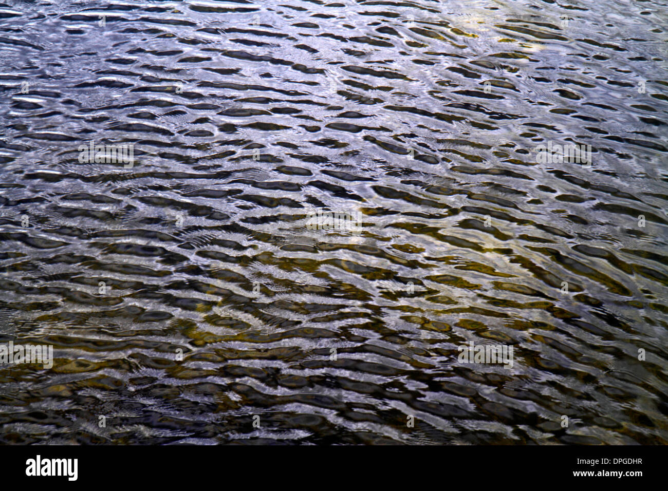 Person making ripples in water hi-res stock photography and images - Alamy