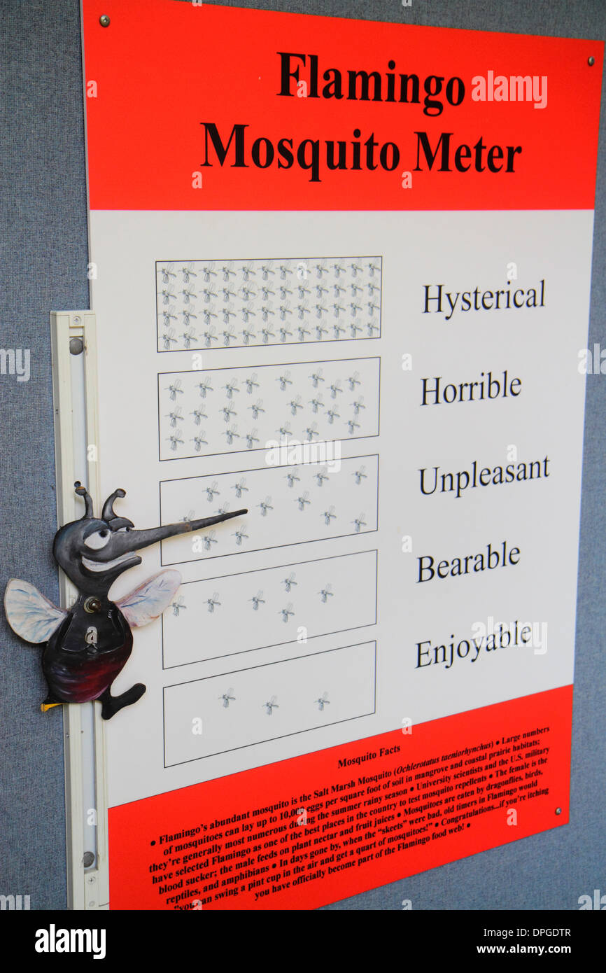 Miami Florida,Everglades National Park,Main Park Road,Flamingo,Mosquito ...