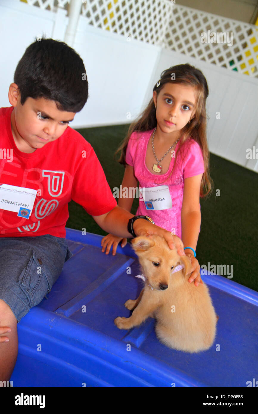 Child petting a dog hi-res stock photography and images - Alamy
