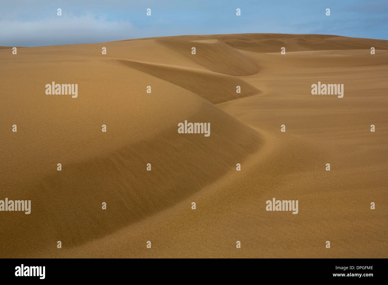 Oregon dunes hi-res stock photography and images - Alamy