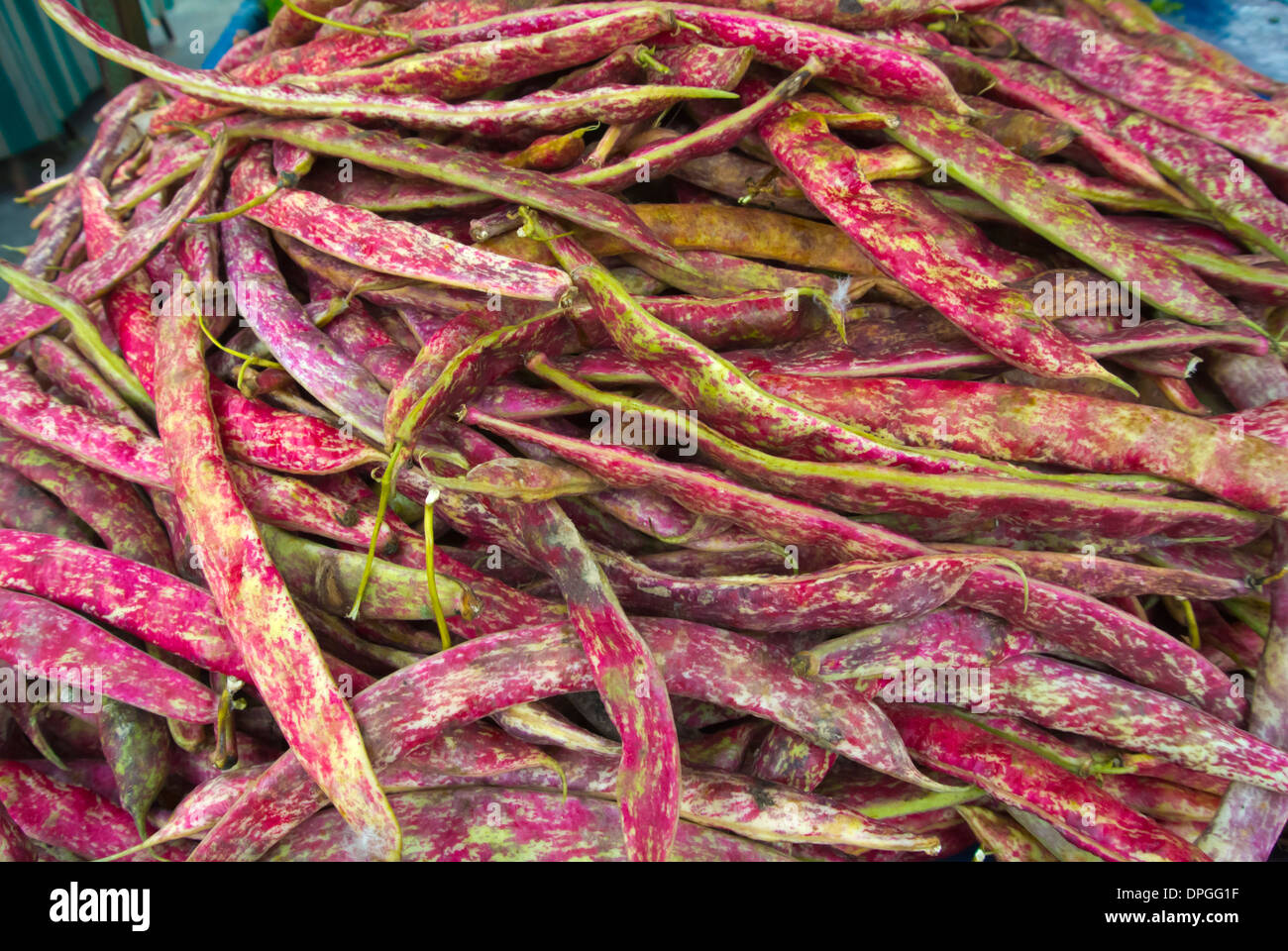 Red broad beans or fava beans Piazza della Republlica square food ...